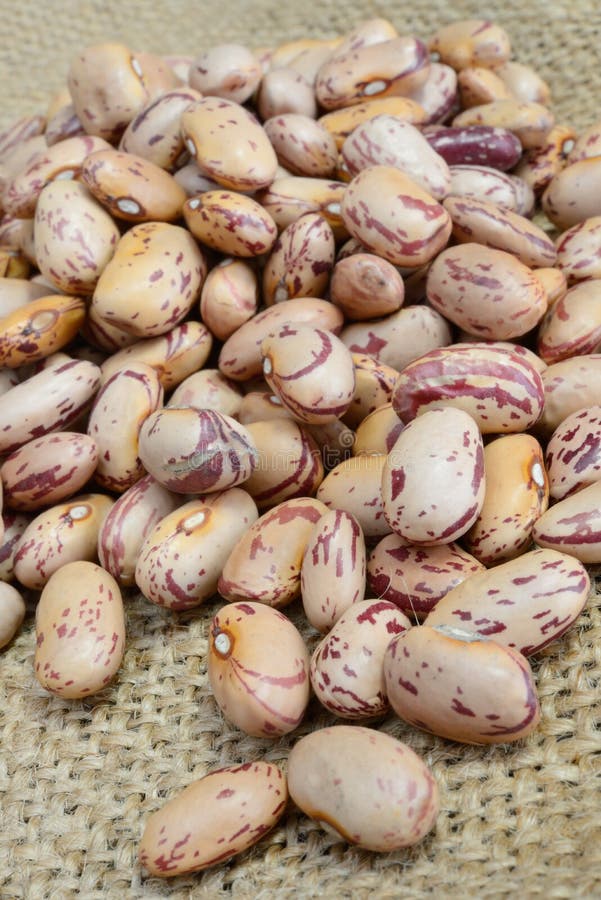 Red beans stock photo. Image of protein, white, bean - 35091022