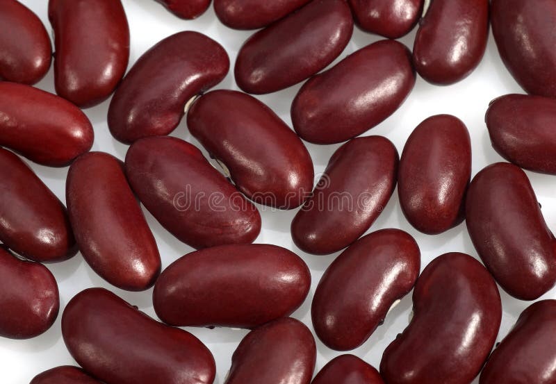 Haricot rouge stock image. Image of botany, indoor, bean - 170719953