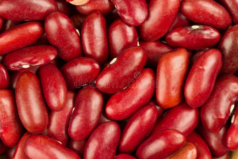 Red beans healthy grains stock photo. Image of lentils - 73122988
