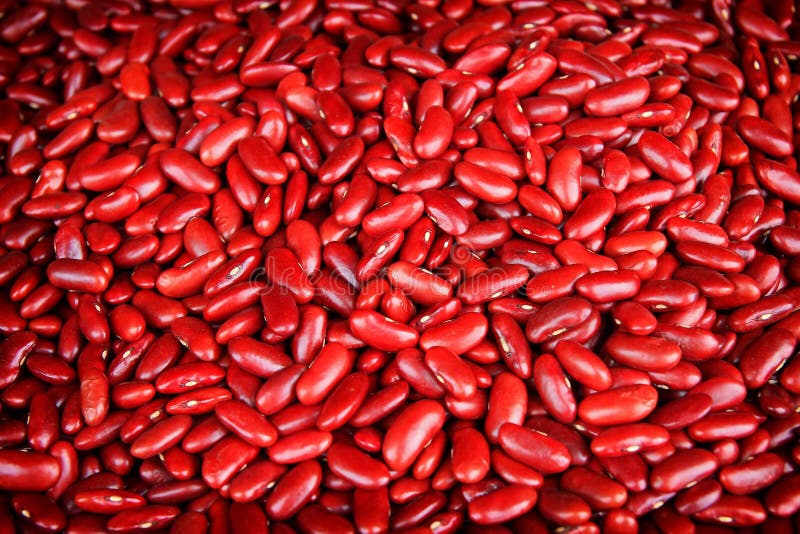 Red beans stock photo. Image of grain, fresh, beans, nature - 43967414
