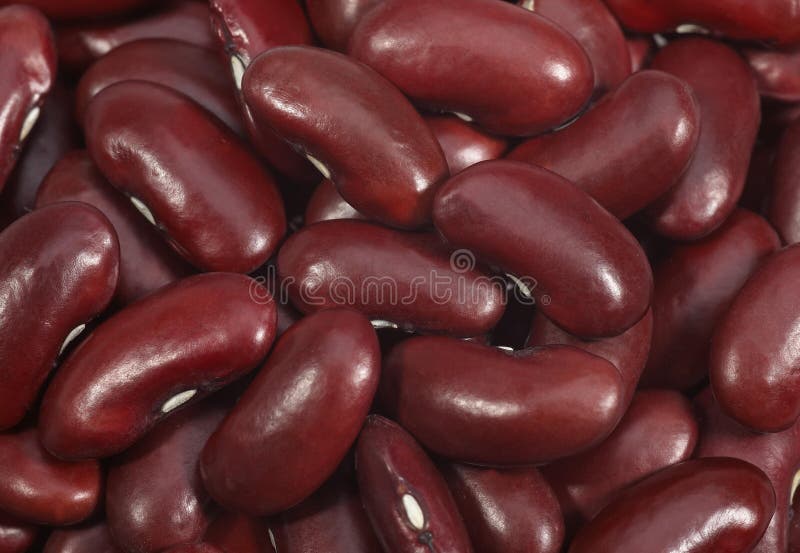 Red Beans, Phaseolus Vulgaris, Dried Vegetables Stock Image - Image of ...
