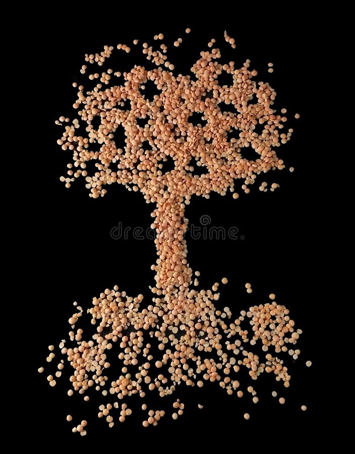 Red Beans (Phaseolus, Wild Bean) in Shape of Tree Stock Photo - Image ...