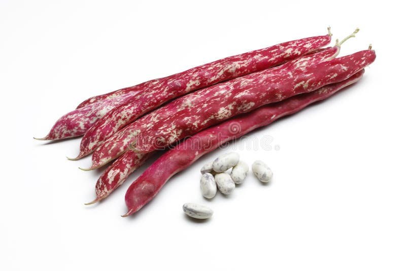 Red beans pods 4 stock image. Image of natural, bean - 116738363