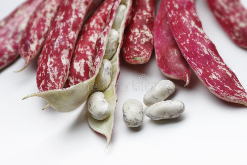 Red beans pods 4 stock image. Image of natural, bean - 116738363