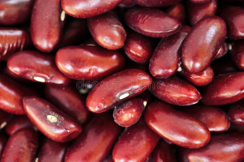 Red Beans stock photo. Image of preserved, detail, organic - 41355344