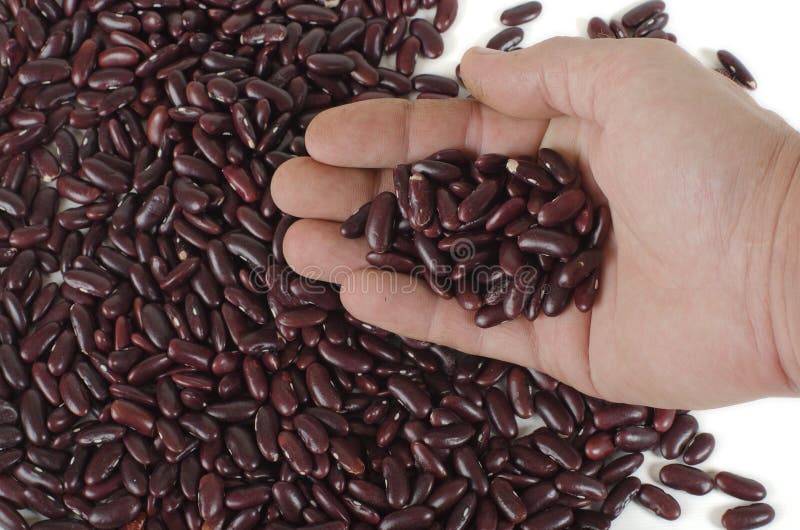 Red beans stock photo. Image of grain, beans, season - 58088722