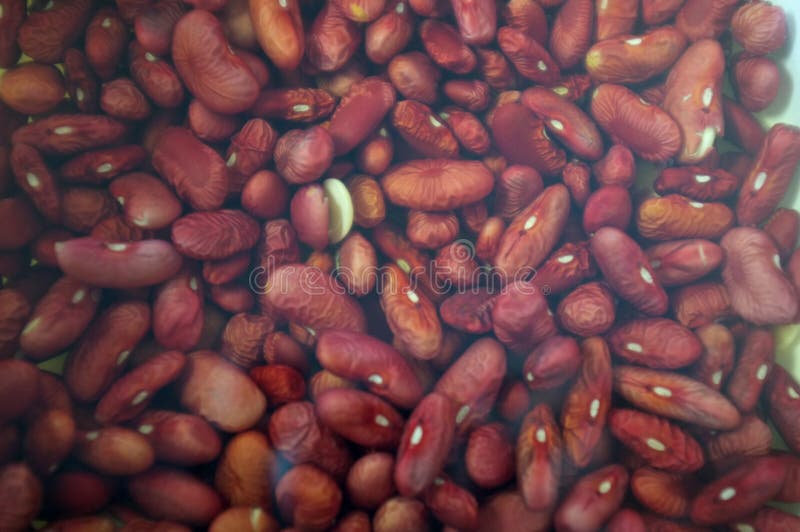 Red beans soaked in water stock image. Image of soak - 72233781