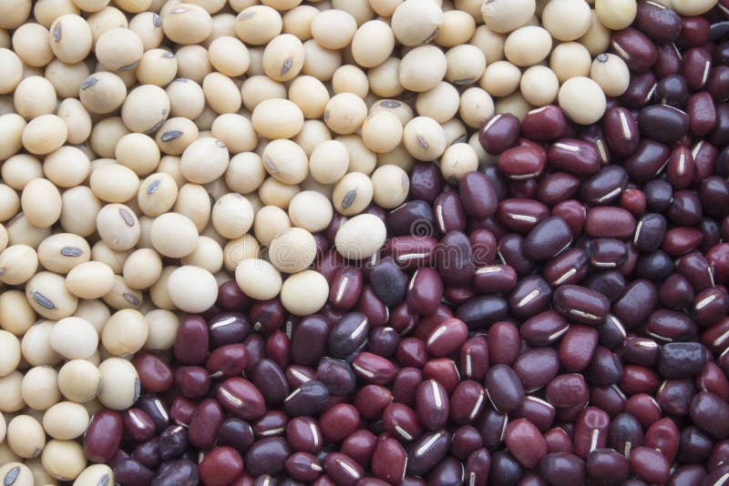 Red beans,soy beans stock image. Image of crop, grain - 57450043