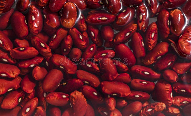 Dry red beans stock photo. Image of cook, prepare, healthy - 95336728