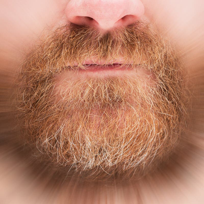 Red Beard and Mustache Man. Stock Photo - Image of caucasian, lifestyle ...