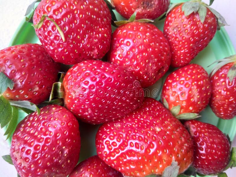 Red Beautiful Strawberries Looks Delicious Stock Photo - Image of ...