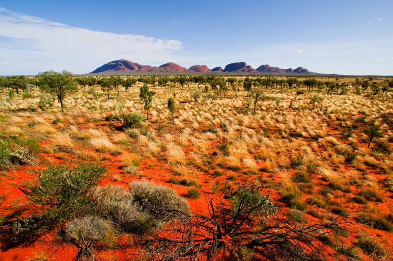 Red Beauty stock photo. Image of aussie, glow, northern - 9643066