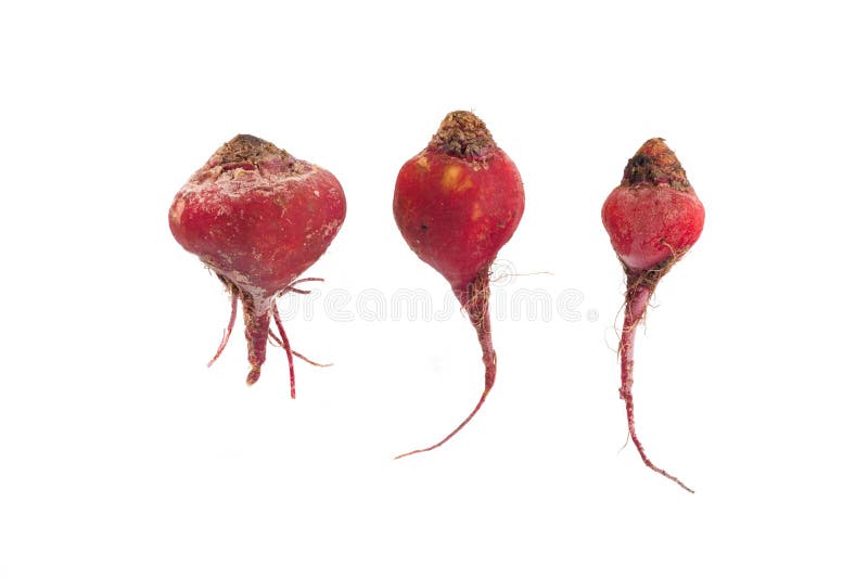 3 red beeds stock photo. Image of beetroot, ingredient - 49602820