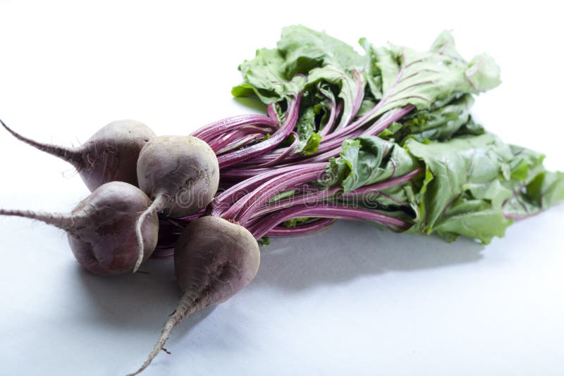 Red beet stock image. Image of natural, garden, root - 10205905