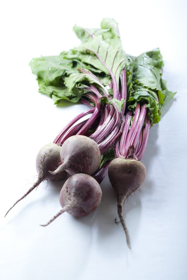 Red beet stock image. Image of vegetable, food, natural - 10205943