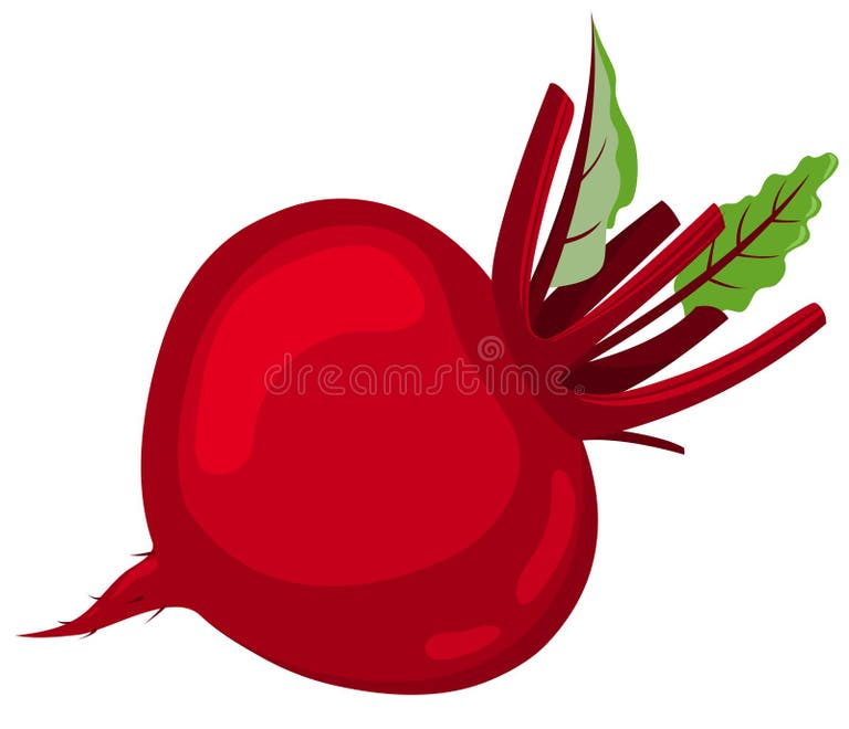 Red Beet Vector Stock Illustrations – 3,834 Red Beet Vector Stock ...