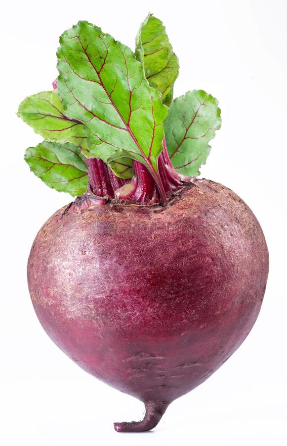 Red beet or beetroot. stock photo. Image of healthy - 100220796