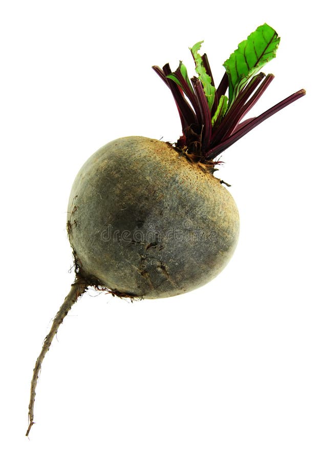 Red beet (Beta vulgaris) stock photo. Image of flora, healthy - 8475784