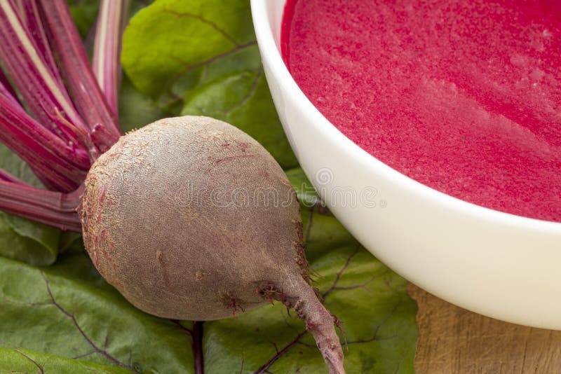 Red beet cream soup stock photo. Image of dinner, root - 33759888