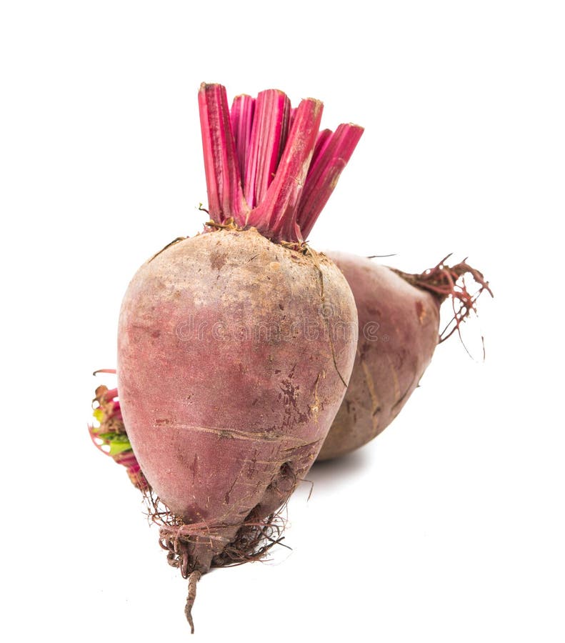 Red beet isolated stock image. Image of maroon, healthy - 34371967