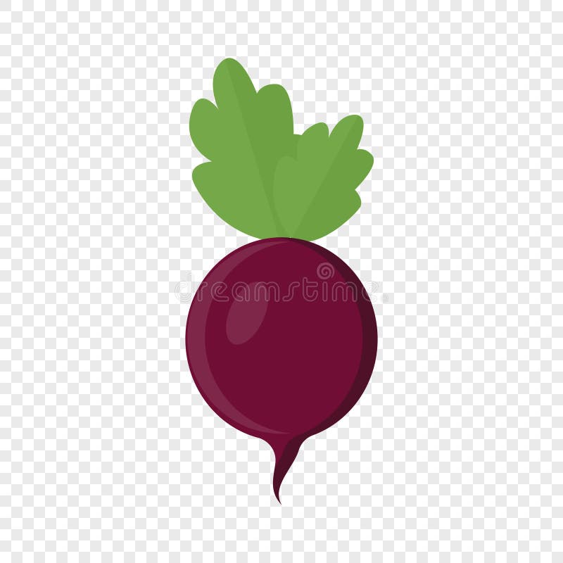 Red Beet with Leaves Vector Icon Stock Illustration - Illustration of ...