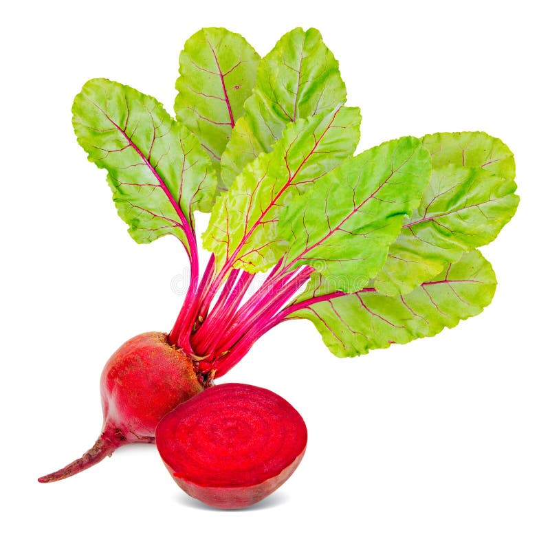 Red beet stock image. Image of closeup, radish, chopped - 42023589