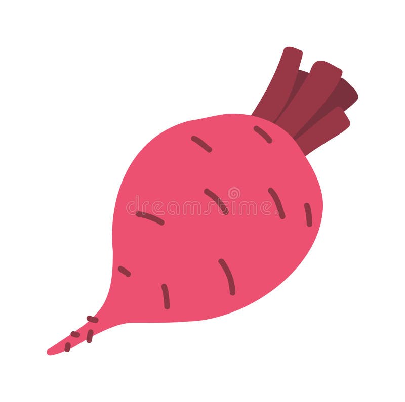 Red Beet Root Illustration. Beetroot Vector Flat Icon. Healthy Food ...