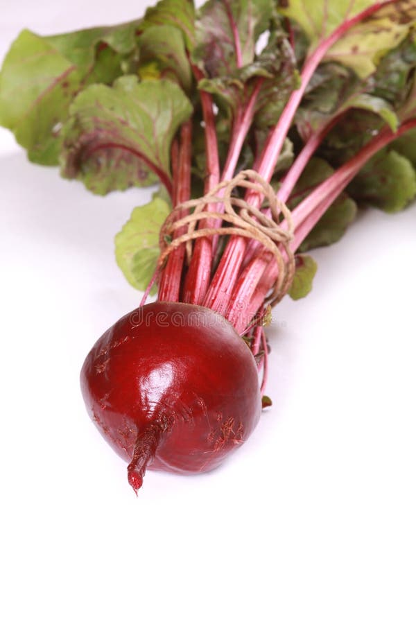 Red beetroot stock photo. Image of freshness, ingredient - 15716834