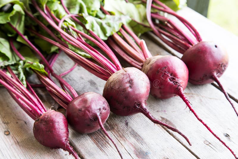 Red Beetroot with Herbage Green Leaves on Rustic Background. Org Stock ...