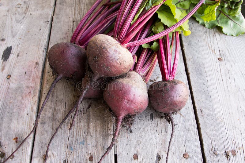 Red Beetroot with Herbage Green Leaves on Rustic Background. Org Stock ...