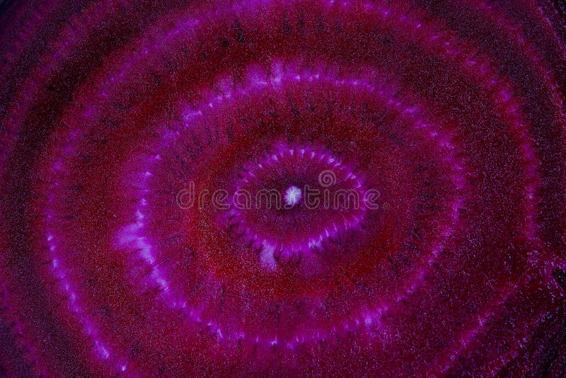 3,133 Beetroot Texture Stock Photos - Free & Royalty-Free Stock Photos ...