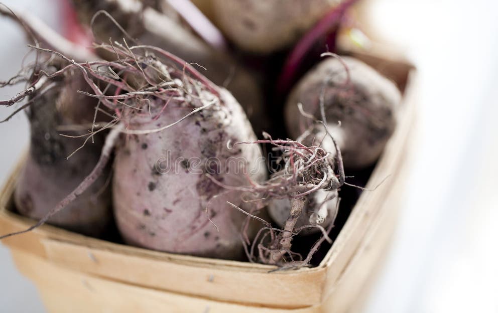 Red Beets in a basket stock photo. Image of beets, minerals - 24567906