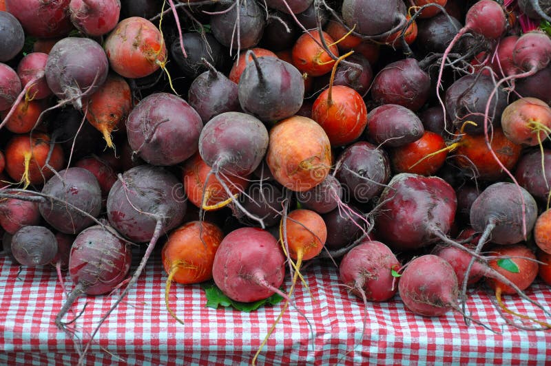 Fresh red beets stock photo. Image of roots, beets, vegetable - 75435778