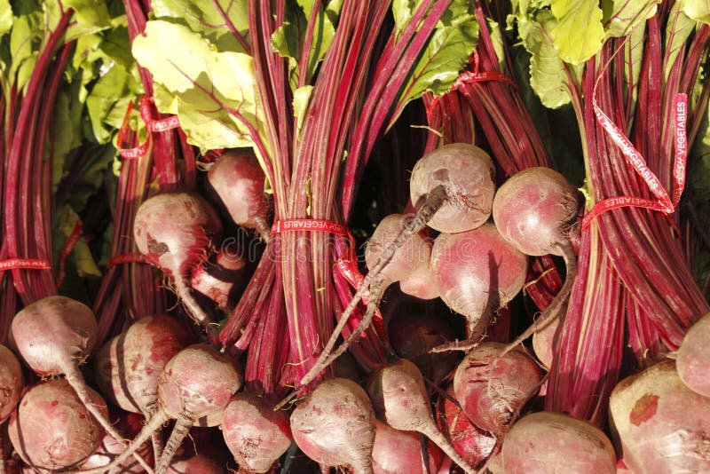 Red Beets with Tops, Horizontal Stock Image - Image of health, beets ...