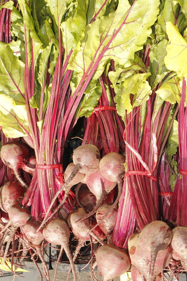 Red Beets stock image. Image of agricultural, autumn - 119292937