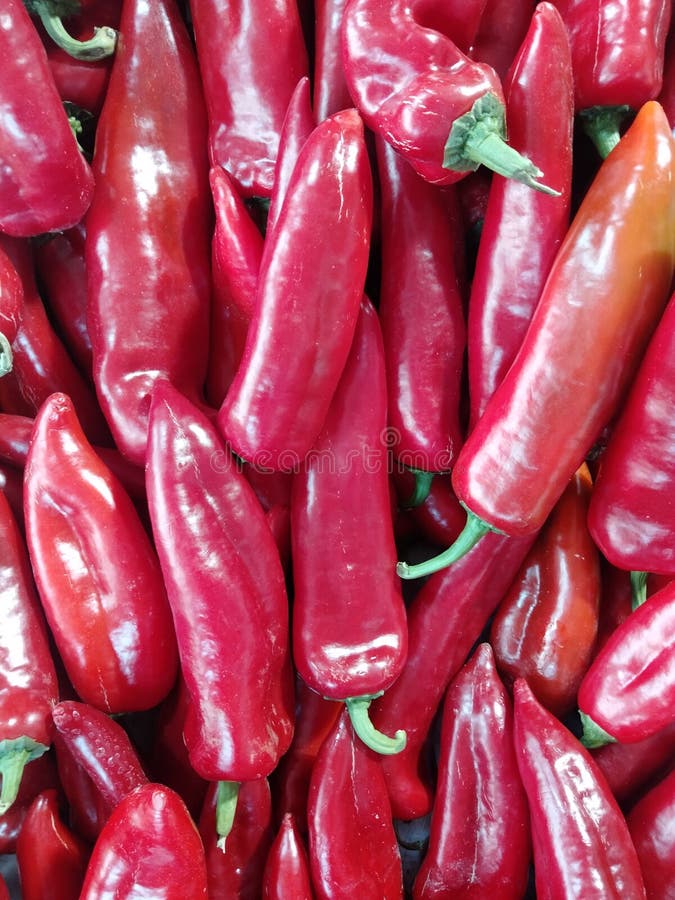 Red Bell Chilli Peppers at Vegetable Stall Stock Image - Image of salad ...