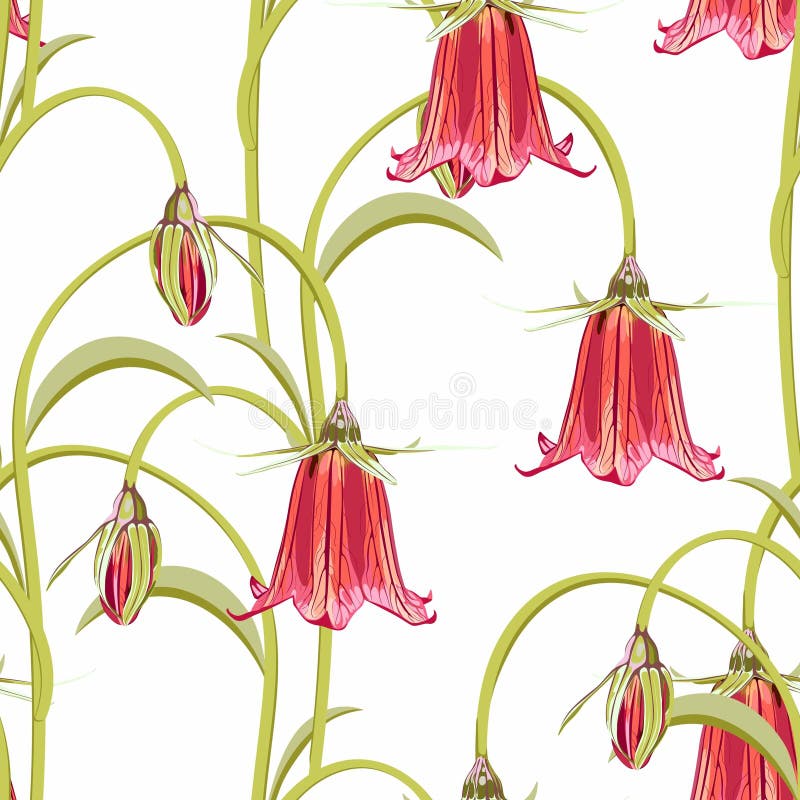 Red Bell Flower Seamless Pattern. Red Bell Flower Seamless Pattern ...