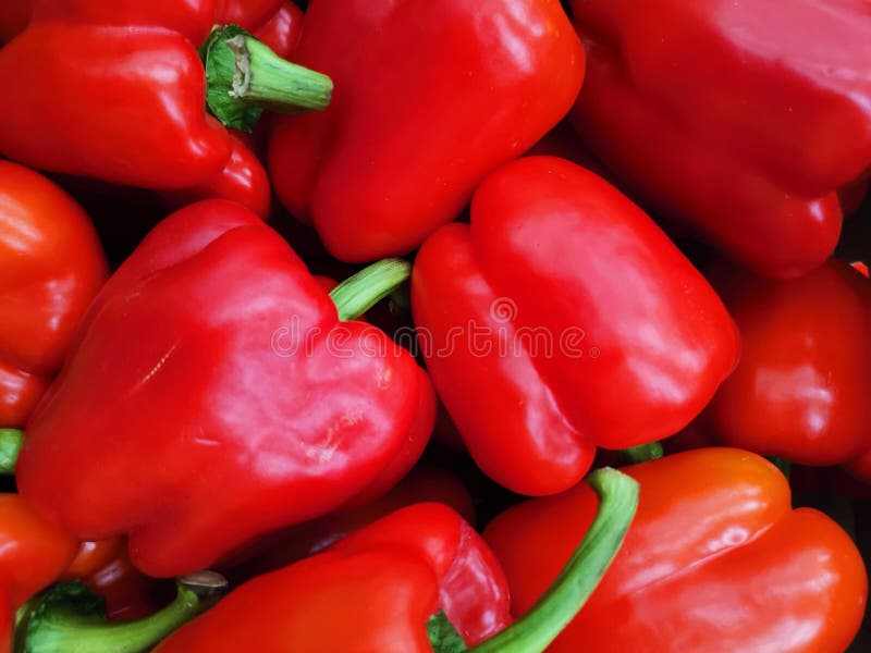 Red bell pepper stock image. Image of dish, gourd, plant - 170445129