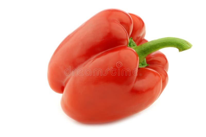 Red bell pepper (capsicum) stock photo. Image of food - 72658464