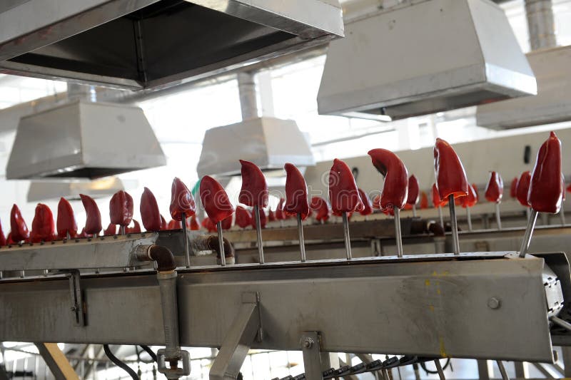 Red bell pepper stock image. Image of peoplevitality - 47472615