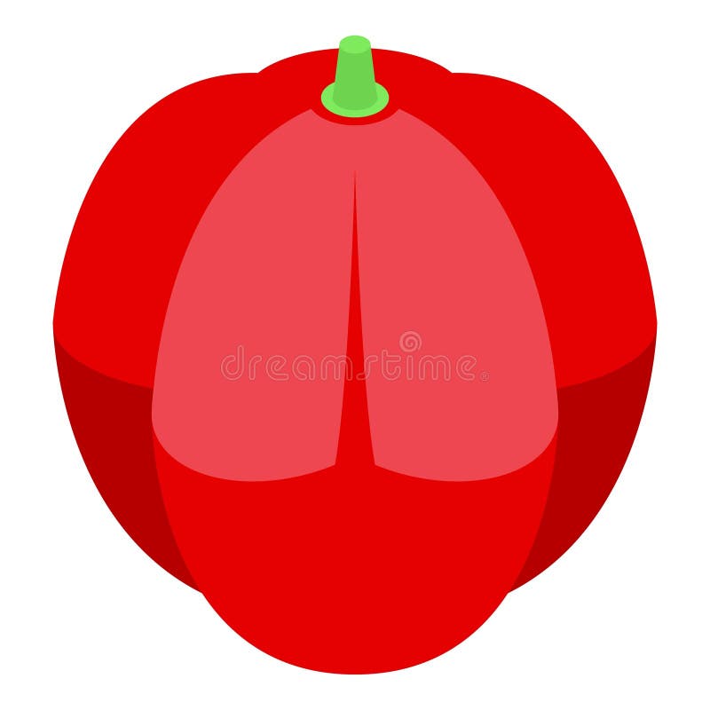 Red Bell Pepper Sitting on White Background Stock Illustration ...