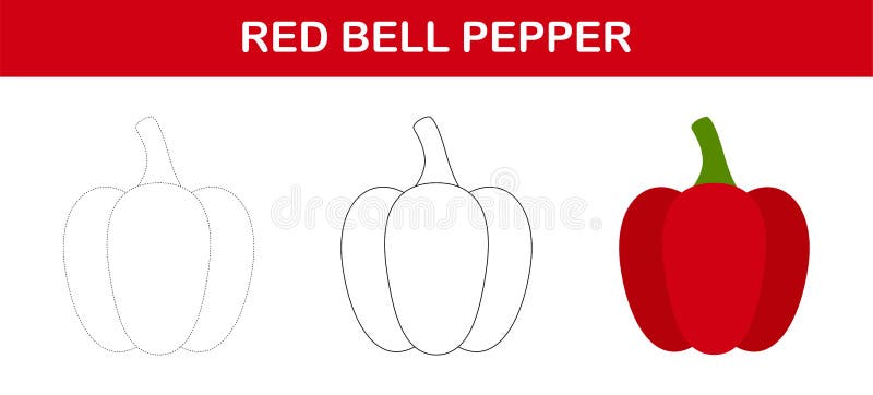 Red Bell Pepper Tracing and Coloring Worksheet for Kids Stock Vector ...