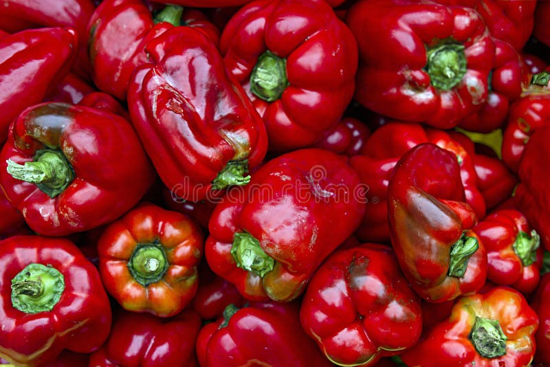 Red Bell Peppers stock image. Image of farm, bell, fresh - 15525271