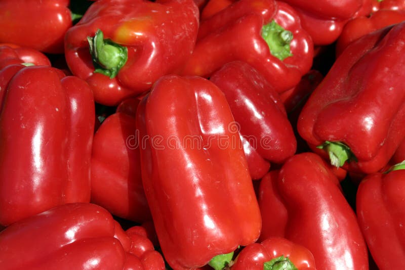 Red bell peppers stock image. Image of species, peppers - 521319