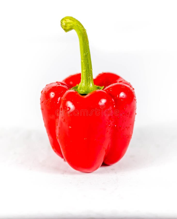 Bell Pebber Stock Photos - Free & Royalty-Free Stock Photos from Dreamstime