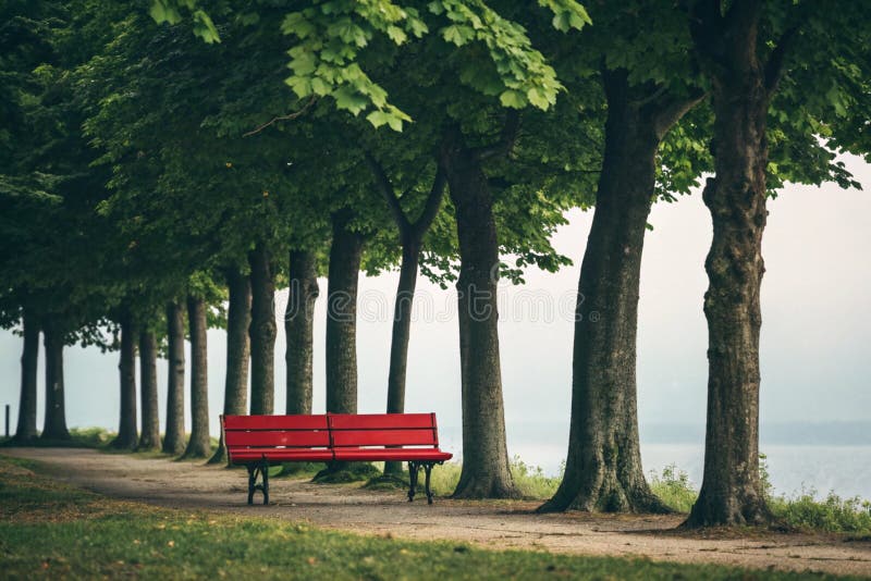 Red Bench in Front of Trees - Generated by Ai Stock Illustration ...