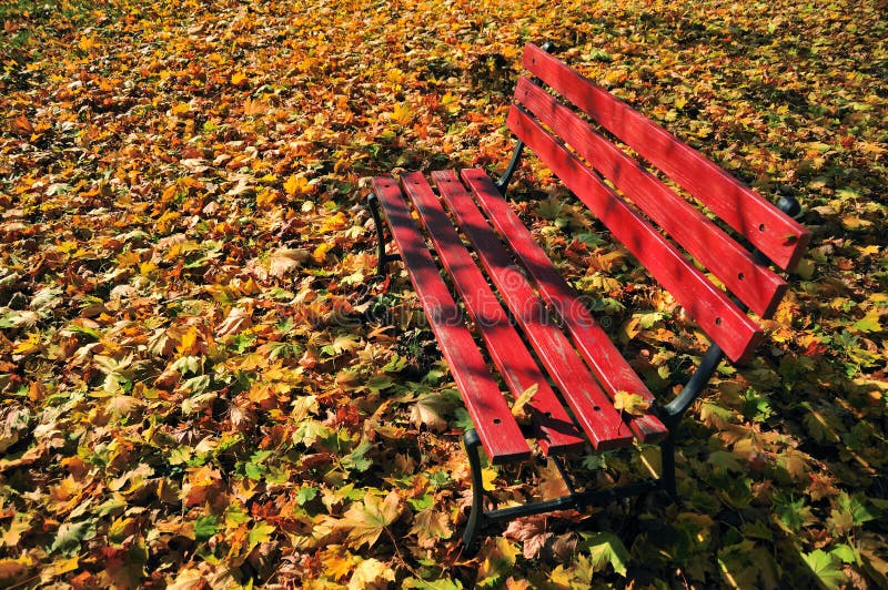 Red bench and leaves stock image. Image of seat, bench - 11967925