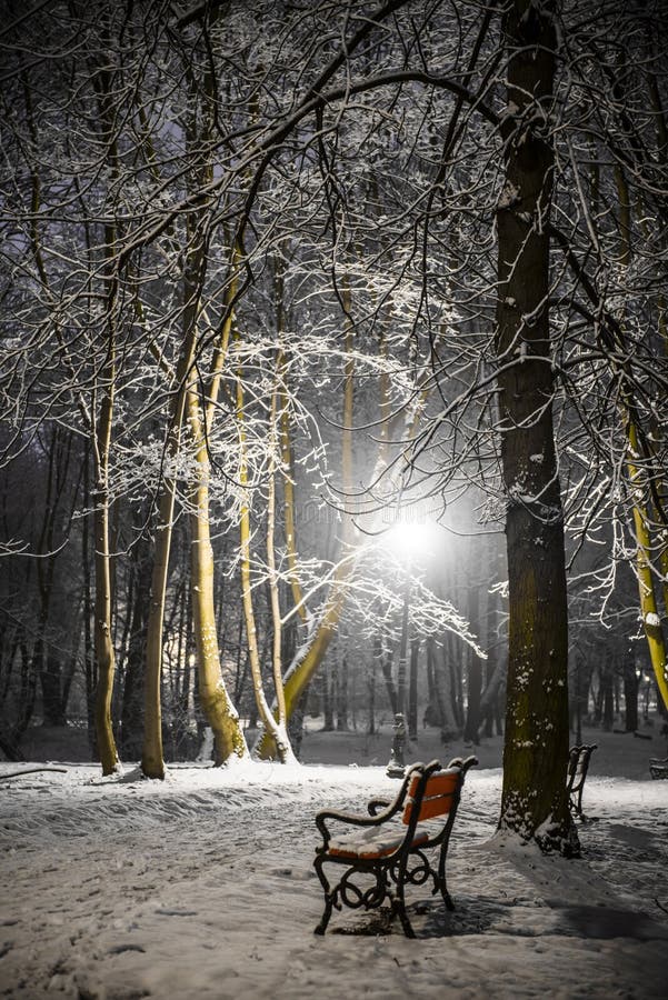 Park Covered with Snow at Night Stock Photo - Image of decorative, lamp ...