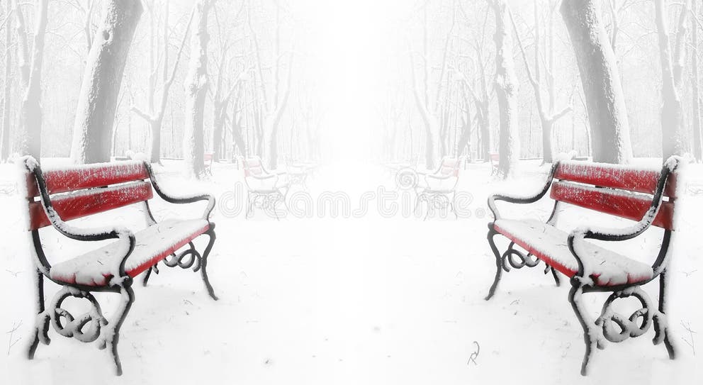 91,633 Bogwater Benches Stock Photos - Free & Royalty-Free Stock Photos ...