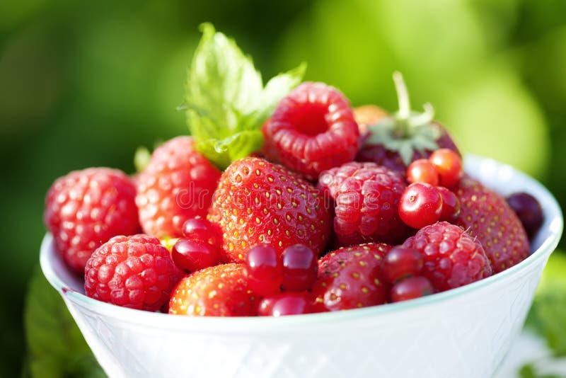 Red berries stock photo. Image of health, organic, strawberries - 21781930